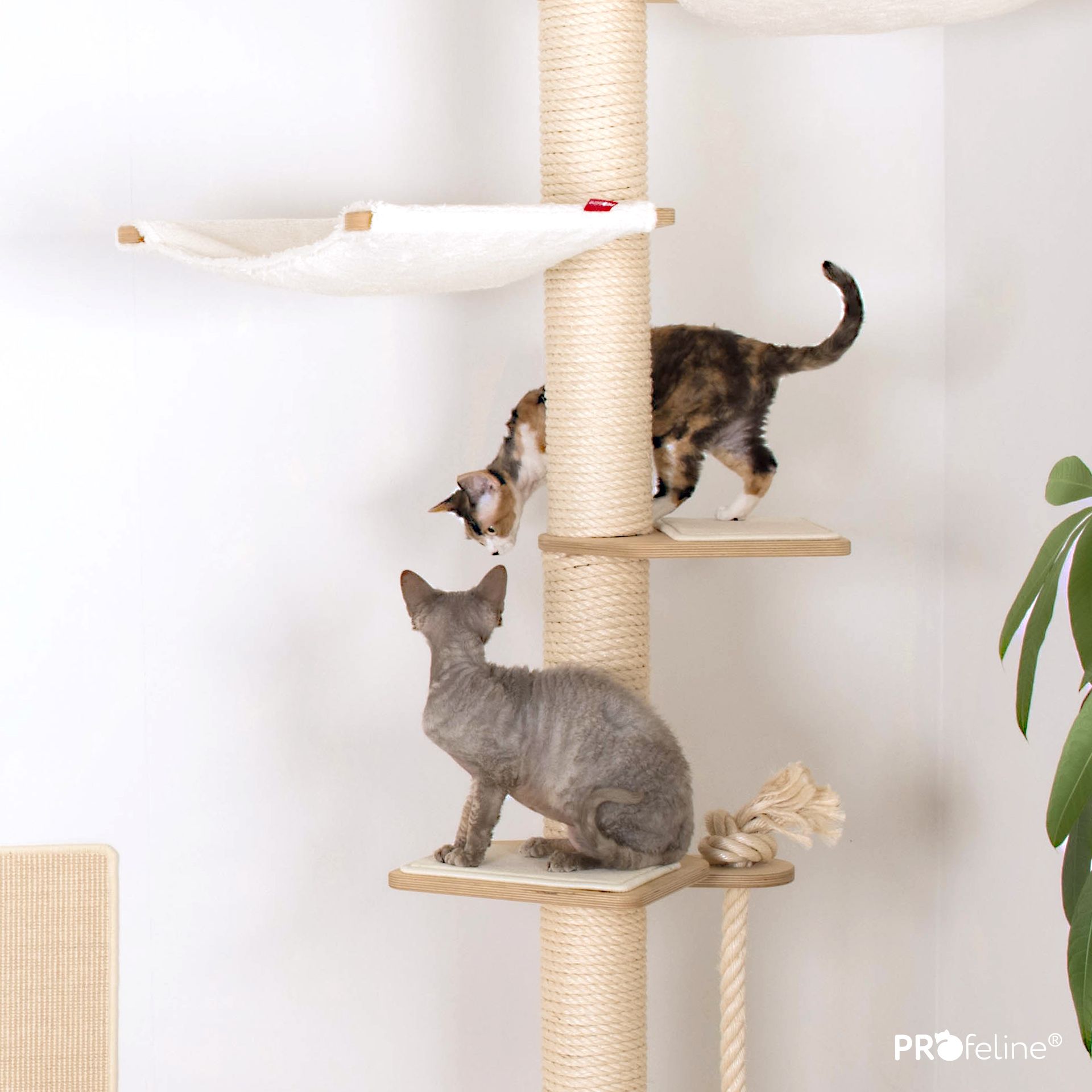 Cat Scratching Trees - Premium Selection for Cats: Explore Our Range