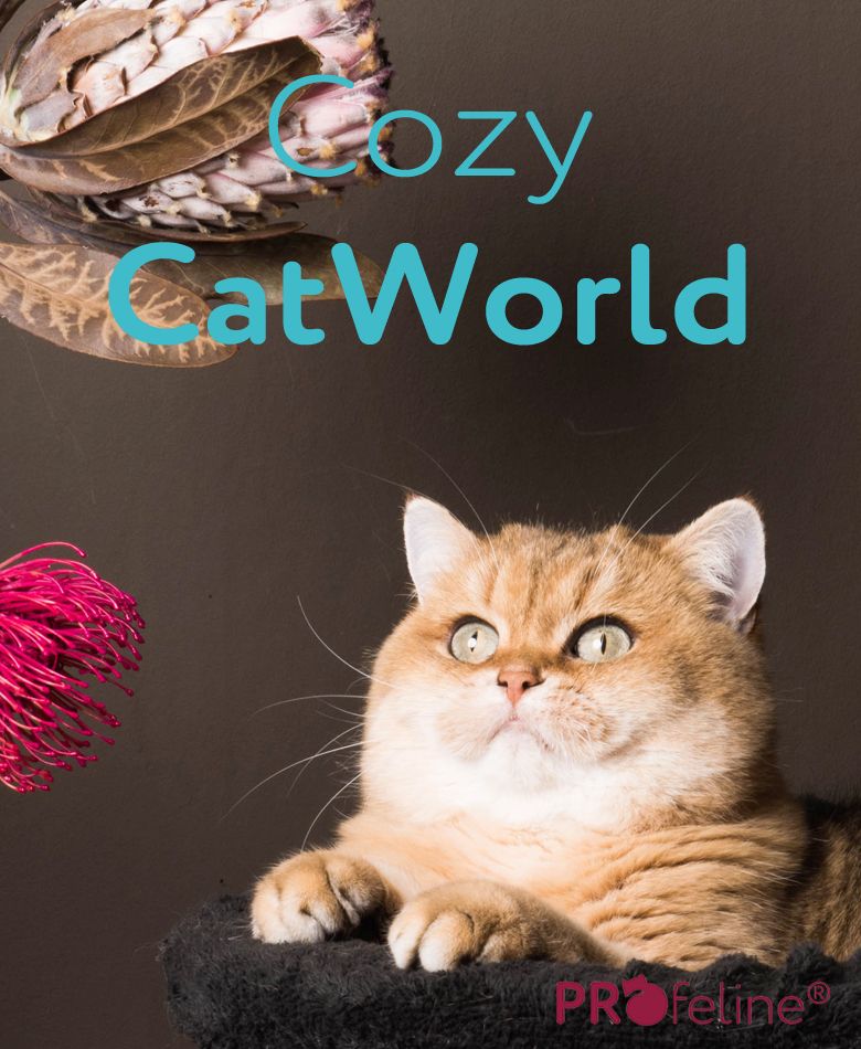 Cat Trees - Cat Furniture - Cat Toys - Cat Beds from Profeline Cat Supplies